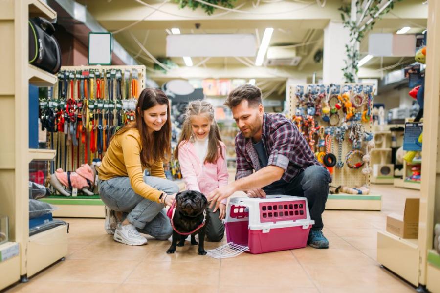5 Ways To Get Your Own Pet In Germany | expatrio.com